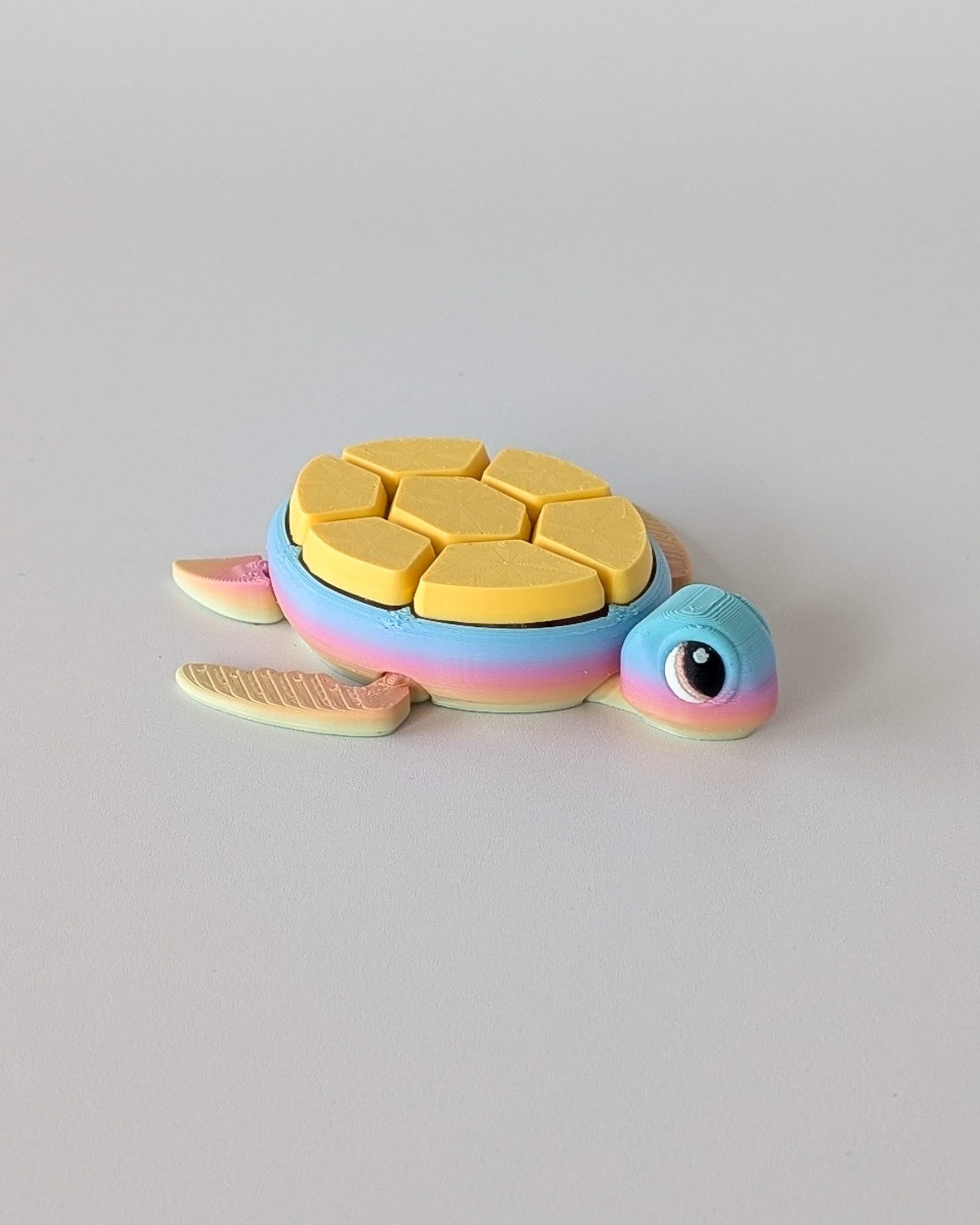 Turtle Clicker Fidget Toy | Articulated Shell & Flippers